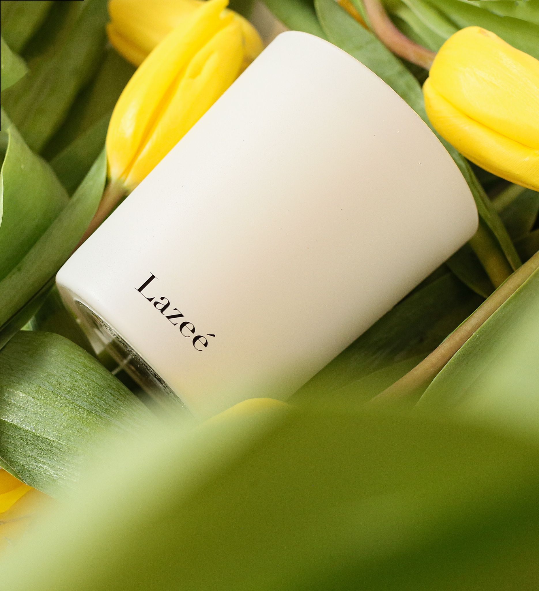 Flowers die, this won’t ! – Lazeé